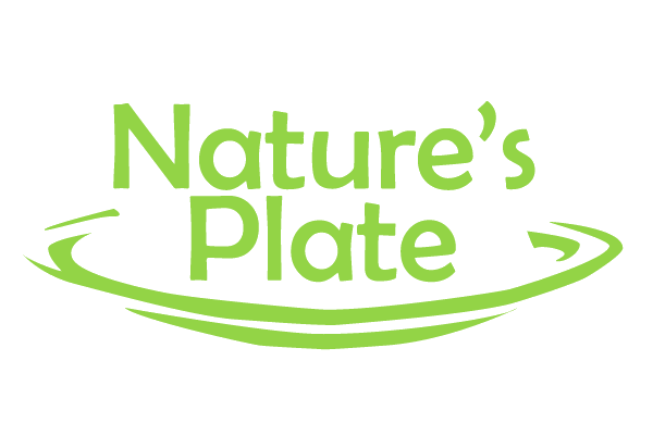 Summer Zucchini Salad – Nature's Plate